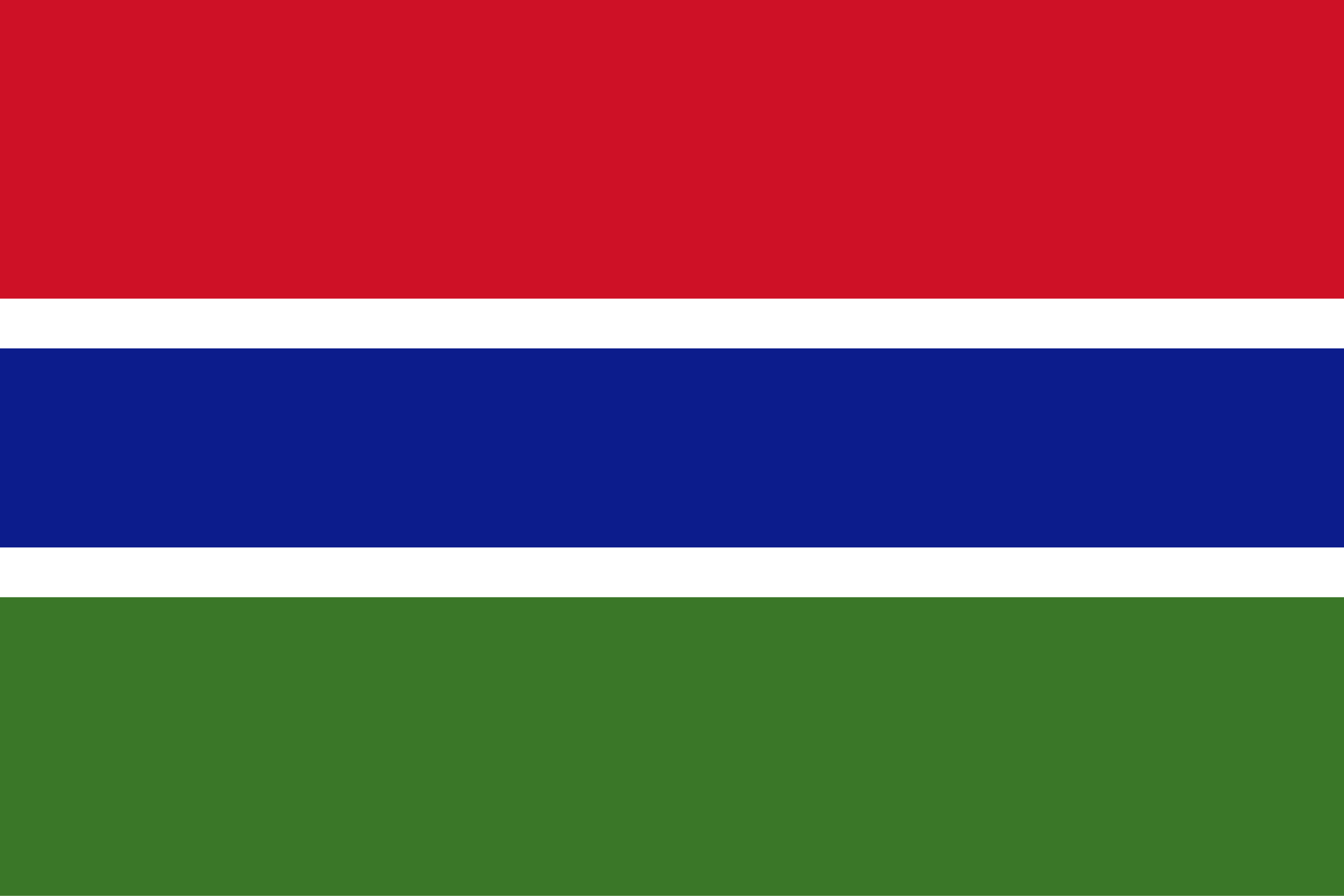 Flag_of_The_Gambia.svg – Africa Turkey Commerce Network